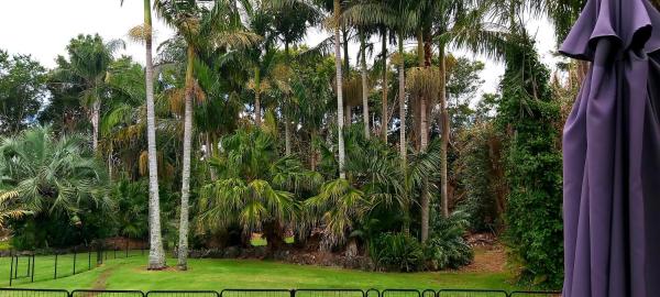 Darwin Cottage - Kerikeri