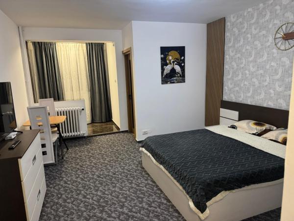 Garsonieră Single Room 25 - Cernica