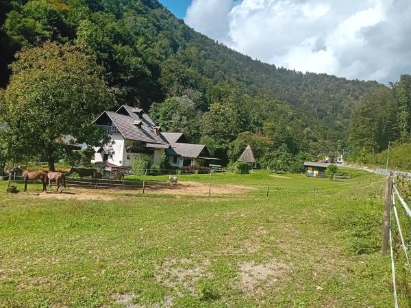 Apartments Gubanec - Slovénie