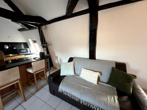 Nid Douillet Proche Orly Aéroport - Athis-Mons