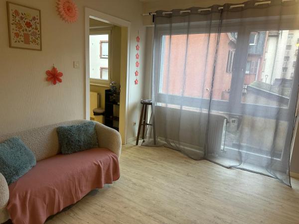 Le Petit Douillet, Cocon Cosy Au Centre De Colmar - Colmar