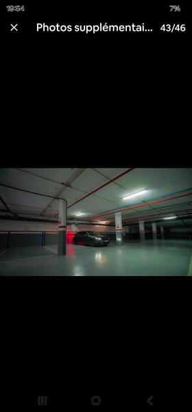 Tanger Coral - Tangier