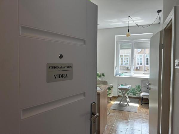 Studio Apartment In Center Of Zagreb "Vidra" - Zagreb