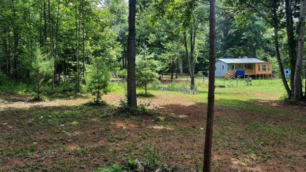 The Blue Cabin - Virginia