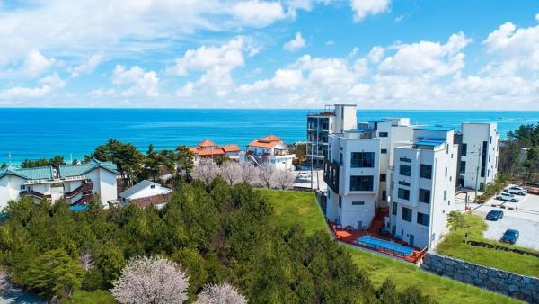 Paradise Pension Gangneung - Gangneung-si