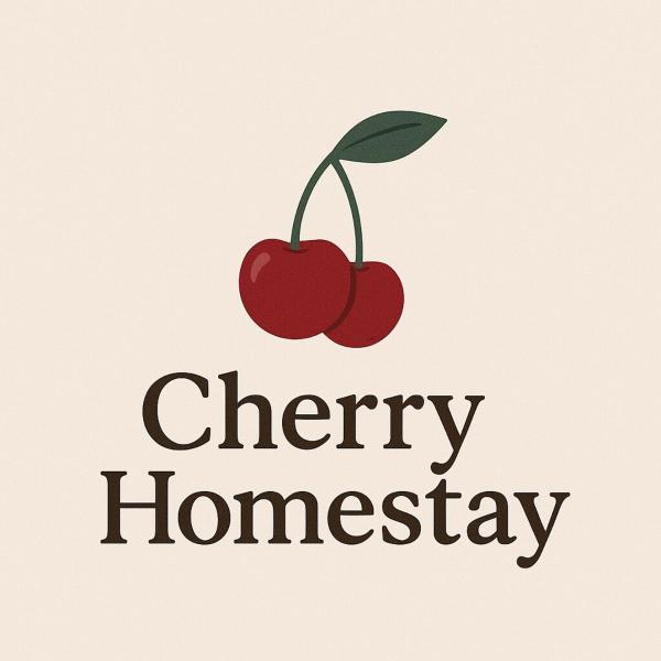 Cherry Homestay - 海防市