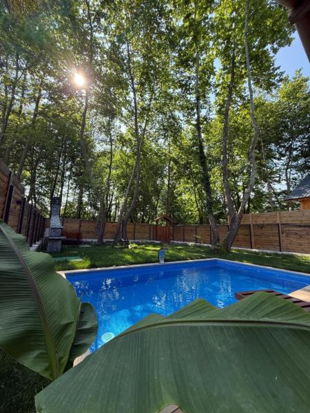 Hara Bıçkıdere - Turquía