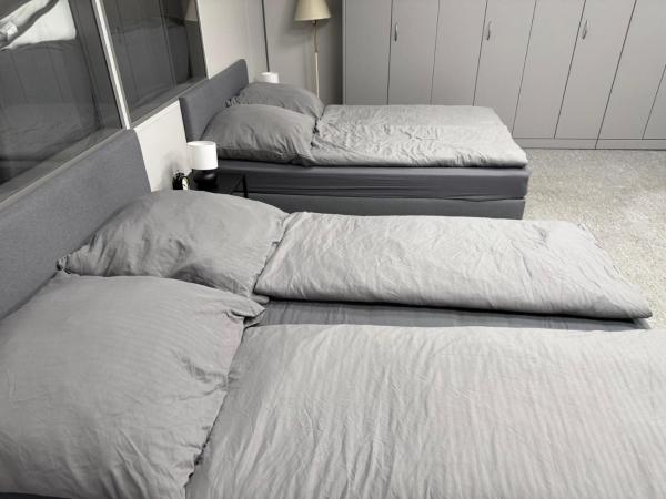 Monteur-apartments Nürtingen - Work And Relax Nb - Forêt-Noire