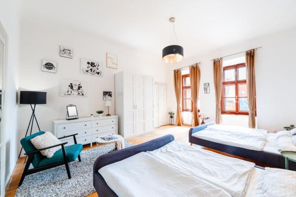 Huge 4 Rooms Charles Bridge Apartment - プラハ