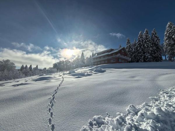 Berggasthaus Auerhahn - Ski In- Ski Out- - Hinterzarten