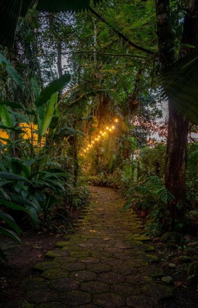 Hotel La Pérgola - Guapiles