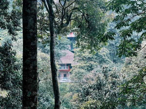 900 Kandi Resort, Wayanad - Kerala