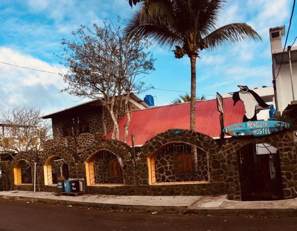 Penguin Hostel - エクアドル ガラパゴス