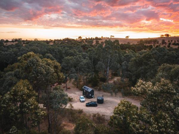 Tiny Jemima - Bendigo