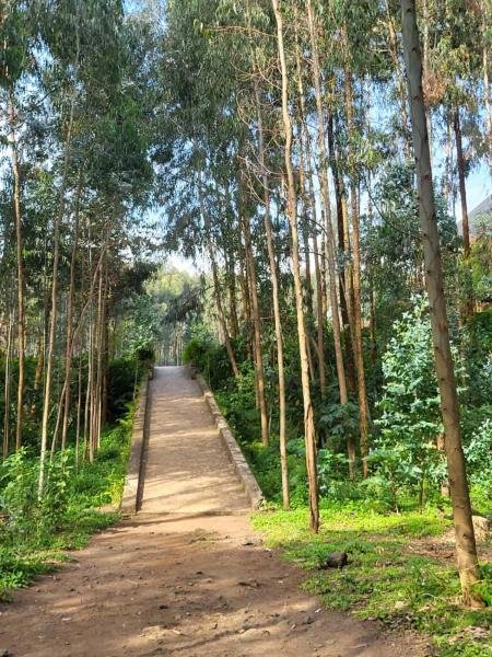 Ubucuti Gorilla Lodge - Rwanda