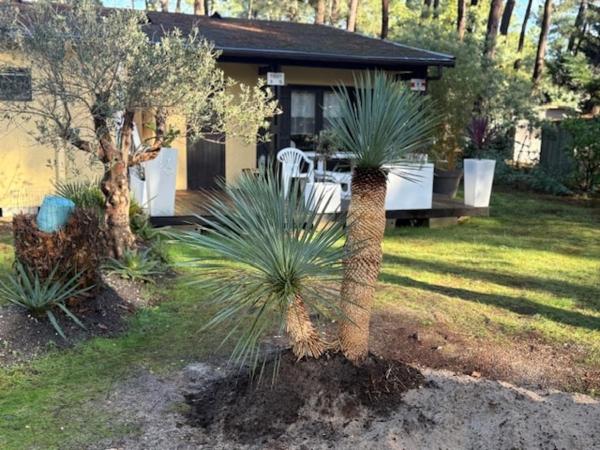 Studio Euronat Center - Vendays-Montalivet