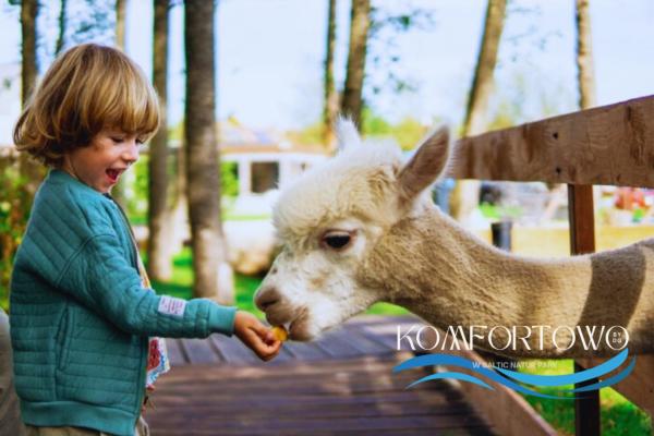 Apartament W Baltic Natur Park - Poddasze Alpaki Sauna Basen Widok Na Park - Niechorze