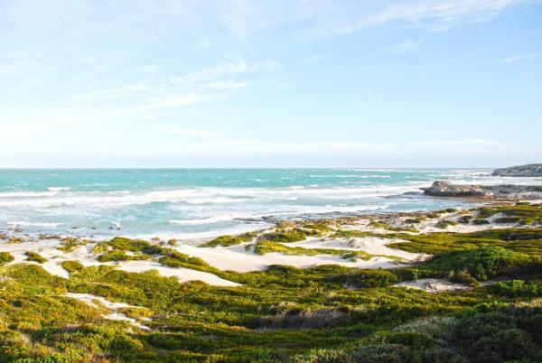 Blombossie - Arniston