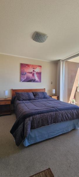 Departamento Completo, Centrico Y Estacionamiento - Temuco