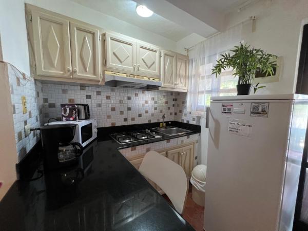 Condo 1bdr 1bth With Garden - Punta Cana