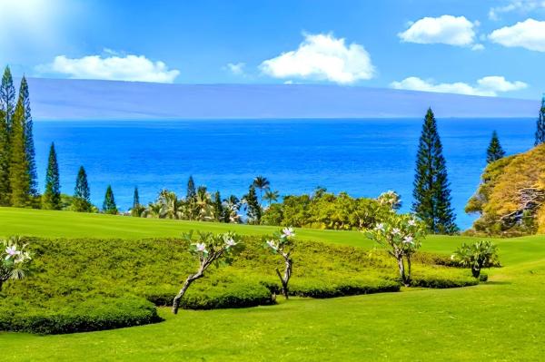 New Kbm Resorts: Kapalua Ridge Villas Krv-2314 Sweeping Ocean Golfmountain Views Wrental Car - Maui, HI