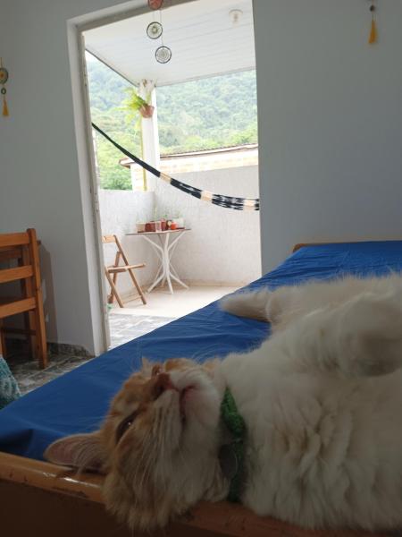 Aconxeguinho - Ubatuba