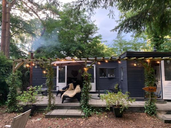 Natuurhuisje De Boshut - Pays-Bas