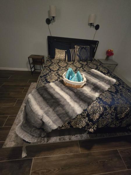 The Blue Orlampa House - Lakeland, FL