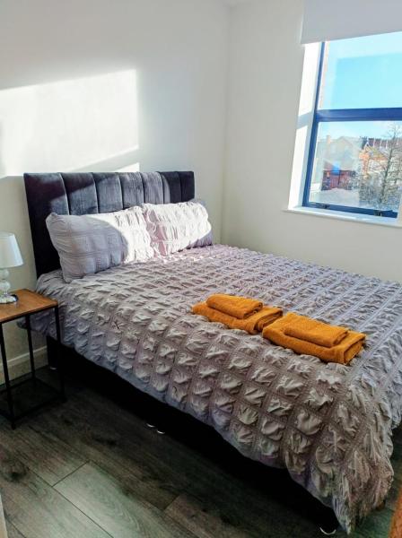Modern 1 Bedroom Apt 5 Near City Centre Parking - Belfast