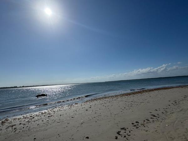 Casa De Praia Com Piscina Em Frente à Praia Para Até 32 Pessoas - Bahia