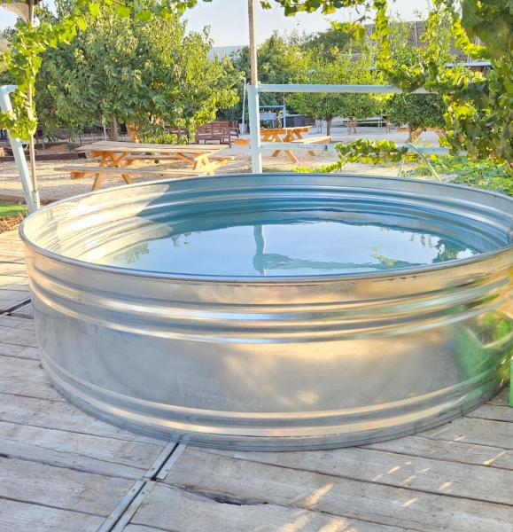 חאן בשביל היער - Israel