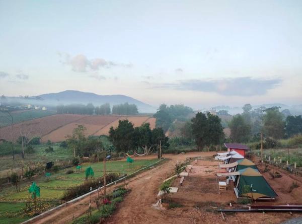 ไร่บริสุทธิ์ - Khao Kho