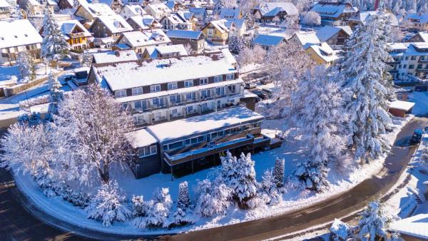 Alpina Löwen Hotel - Black Forest