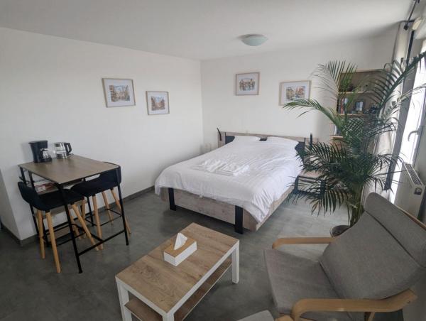 Grande Chambre Et Salle De Bain Privée Et Balcon - Strasbourg