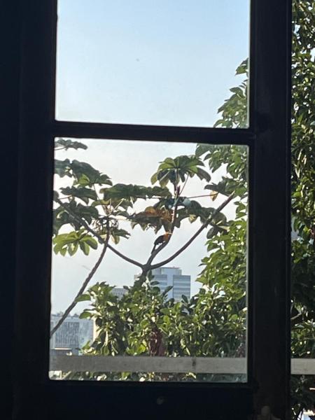 Quarto Em Castelinho Santa Teresa - Rio de Janeiro