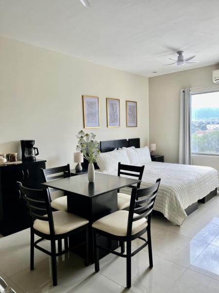 Loft Con Luz Natural Y Cocina Equipada - Saltillo