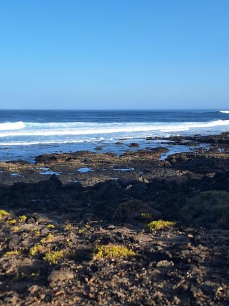 La Caracola - Lanzarote