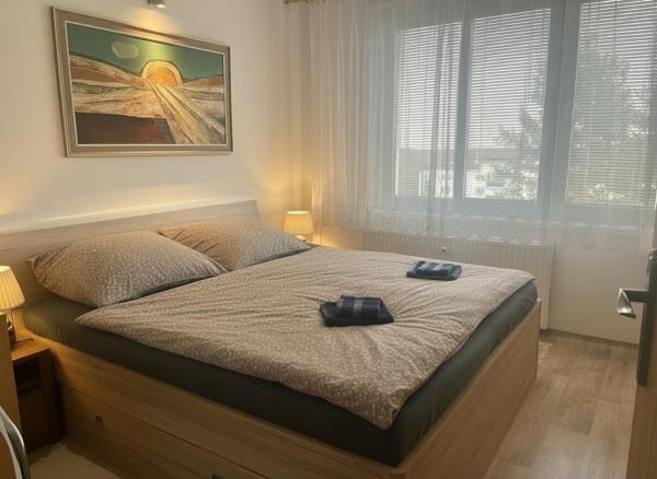 Cozy Apartment By The Forest - Szczyrbskie Jezioro