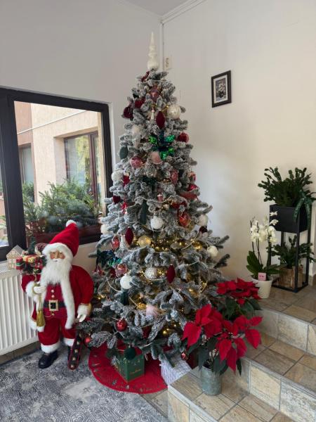 Pensiunea Zimbrul - Brașov