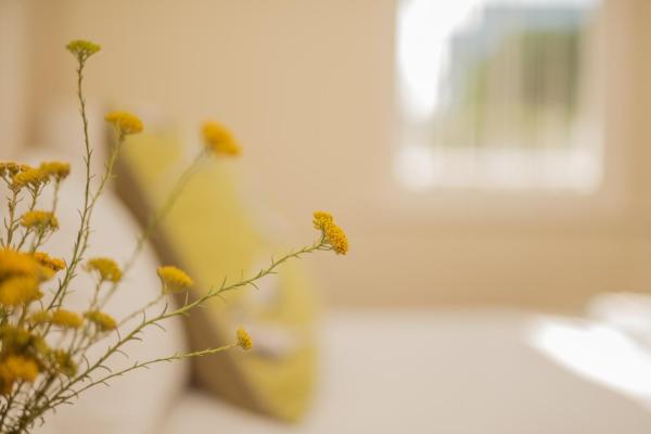 Charming Historic Home In Central Stellenbosch - Stellenbosch