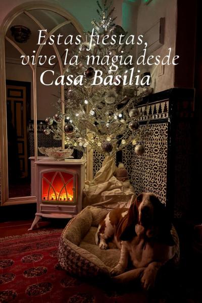 Casa Basilia - Granada