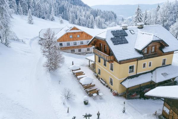 Ferienwohnung Steinacherhof - Gerlitzen