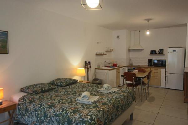 Studio 38m2 Le Grand Angle, Centre-ville, Parking Et Terrasse - Aix-les-Bains