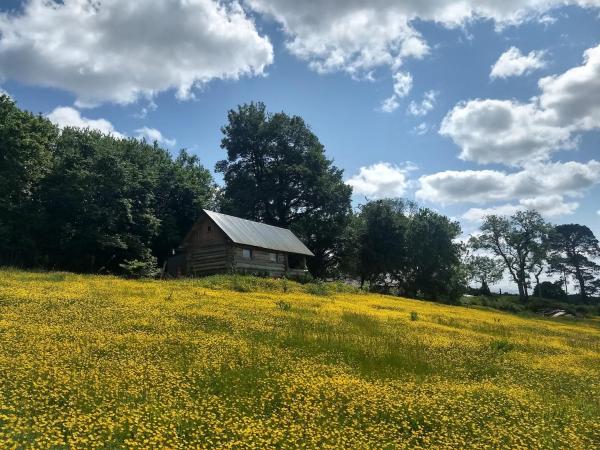 Hilltop Hideaway - Herefordshire