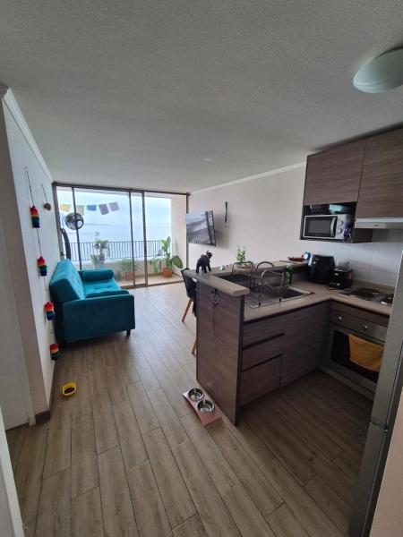 Departamento Entero Con Hermosa Vista A La Playa - Iquique