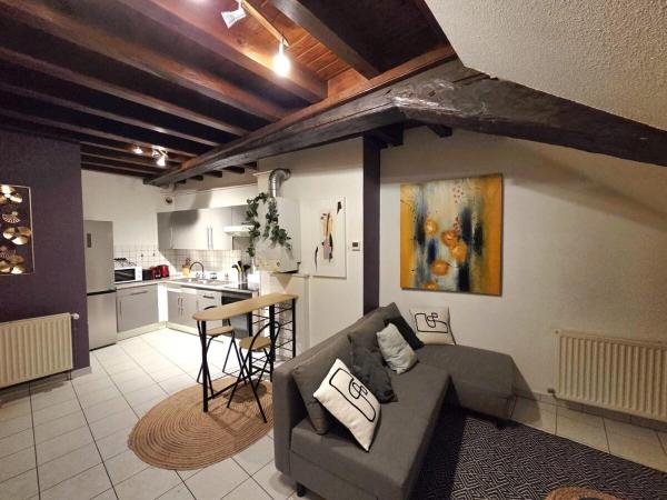 Le Cosy Center - Thonon-les-Bains