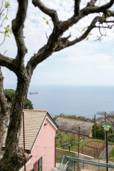 La Casa Tra Gli Ulivi - Genoa