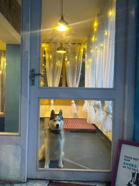 Madlers By Oakland House - Manali