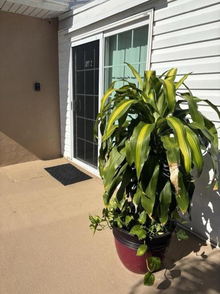 Burnham Guesthouse - Fort Myers, FL