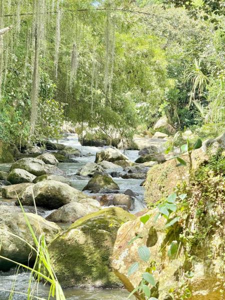 Lotón House - Curiti